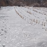 Pawcatuck River Loop, Rhode Island - 251 Reviews, Map | AllTrails