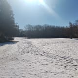 Pawcatuck River Loop, Rhode Island - 251 Reviews, Map | AllTrails