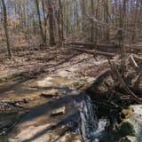 Fiery Gizzard Trail to Raven's Point, Tennessee - 1,116 Reviews, Map ...