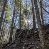 Fiery Gizzard Trail to Raven's Point, Tennessee - 1,149 Reviews, Map ...