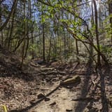 Fiery Gizzard Trail to Raven's Point, Tennessee - 1,149 Reviews, Map ...