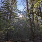 Fiery Gizzard Trail to Raven's Point, Tennessee - 1,165 Reviews, Map ...