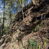 Fiery Gizzard Trail to Raven's Point, Tennessee - 1,165 Reviews, Map ...