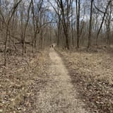 Natural Tunnel Trail, Missouri - 783 Reviews, Map | AllTrails