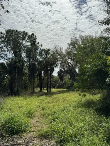 Best Hikes and Trails in Wolf Branch Nature Preserve | AllTrails