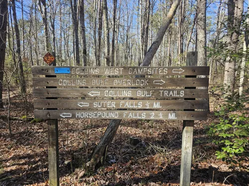 Best Short Trails in Savage Gulf State Park | AllTrails
