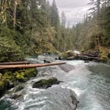 Staircase Rapids Loop, Washington - 2,443 Reviews, Map | AllTrails