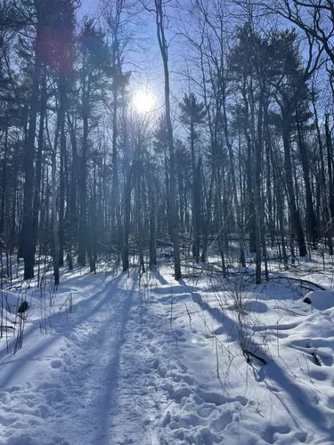 Best Forest Trails in Long Sault Conservation Area | AllTrails