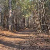 Iron Hill Loop, Georgia - 4,756 Reviews, Map | AllTrails