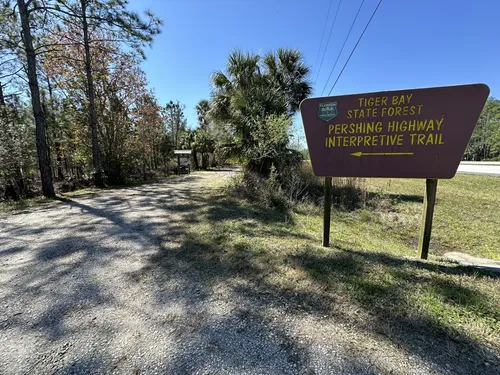 Tiger Bay State Forest: Die besten Routen zum Wandern | AllTrails