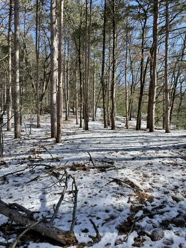 Best Hikes and Trails in Provin Trails Park | AllTrails