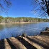 Lake Pine Loop, North Carolina - 1,283 Reviews, Map | AllTrails