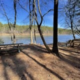 Lake Pine Loop, North Carolina - 1,283 Reviews, Map | AllTrails