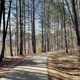 Lake Pine Loop, North Carolina - 1,283 Reviews, Map | AllTrails