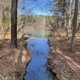 Lake Pine Loop, North Carolina - 1,283 Reviews, Map | AllTrails