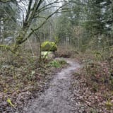 Galen McBee Airport Park Loop, Oregon - 192 Reviews, Map | AllTrails