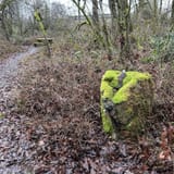 Galen McBee Airport Park Loop, Oregon - 230 Reviews, Map | AllTrails