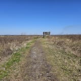 Bolen Bluff Trail, Florida - 869 Reviews, Map | AllTrails