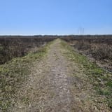 Bolen Bluff Trail, Florida - 869 Reviews, Map | AllTrails