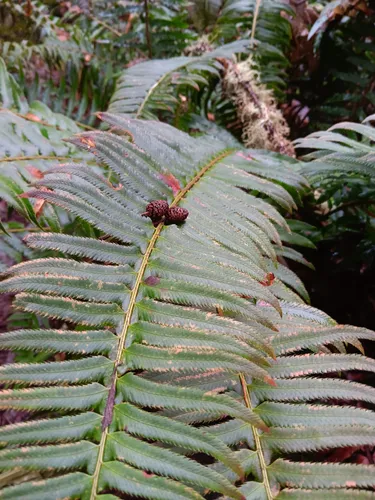 Best Hikes and Trails in Farrell Marsh Park | AllTrails