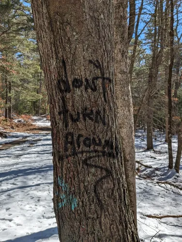 Best Walking Trails in Assonet | AllTrails