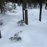 Hancock Notch Trail, New Hampshire - 62 Reviews, Map | AllTrails