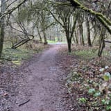 Joe Dancer Park, Oregon - 156 Reviews, Map | AllTrails