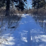 Moon Lake Trail, Manitoba, Canada - 267 Reviews, Map | AllTrails