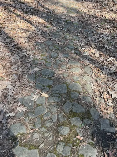 Best Hikes and Trails in Duke Forest | AllTrails