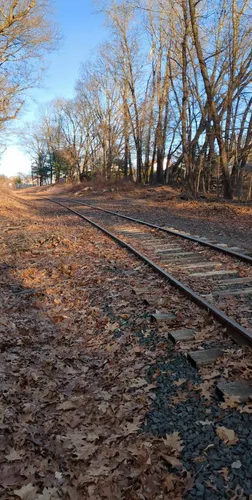 Best Hikes and Trails in Rye Street Park | AllTrails