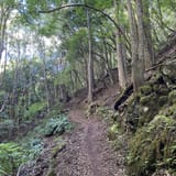 Kahakapao Loop Trail, Maui, Hawaii - 1,999 Reviews, Map | AllTrails