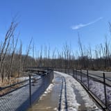 Reeds Lake Trail, Michigan - 972 Reviews, Map | AllTrails