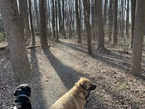 Best Hikes and Trails in Nottoway Park | AllTrails