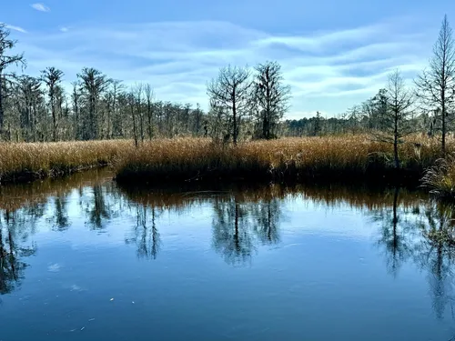 Best Hikes and Trails in J.F. Gregory Park | AllTrails