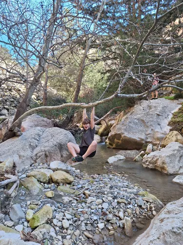 Best Forest Trails in Peyia | AllTrails