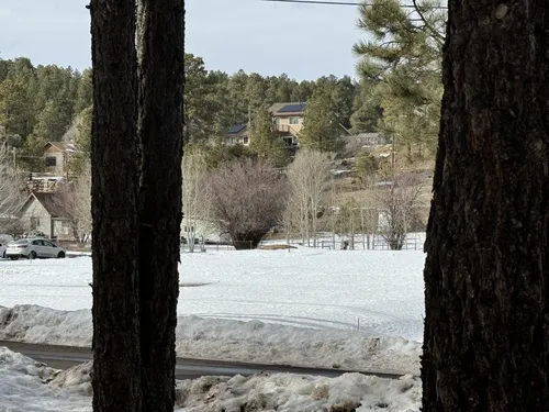 Best Hikes and Trails in Fort Tuthill County Park | AllTrails