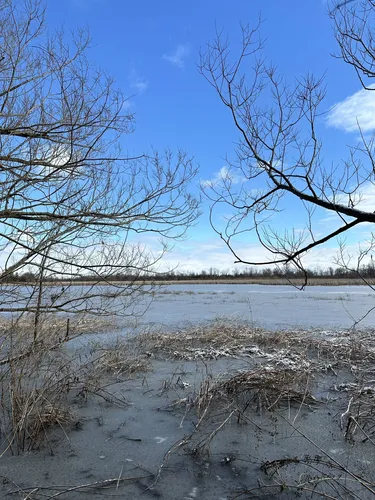 Best Hikes and Trails in Mud Lake Conservation Area | AllTrails