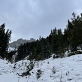 Quarry Lake Loop via Highline Loop, Alberta, Canada - 703 Reviews, Map ...