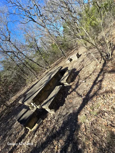 Best Forest Trails in Bonham State Park | AllTrails