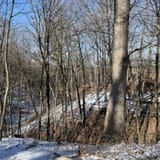 Crahen Valley Park Loop, Michigan - 1,318 Reviews, Map | AllTrails