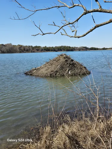 Best Forest Trails in Bonham State Park | AllTrails