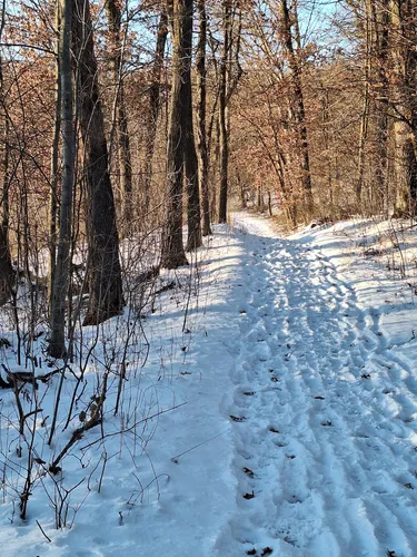 Best Hikes and Trails in Silver Creek | AllTrails