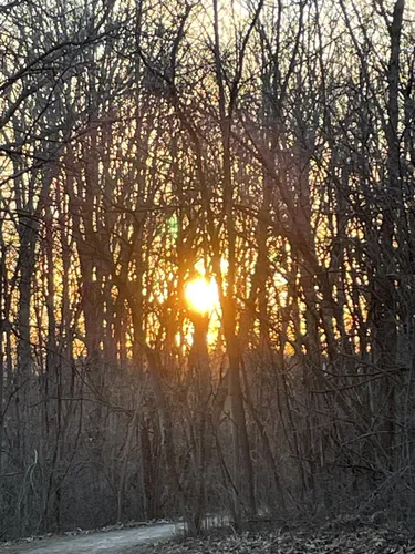 Best Hikes and Trails in Marsh View Meadows | AllTrails
