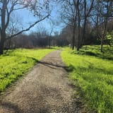 Cibolo Creek Main Trail, Texas - 667 Reviews, Map | AllTrails