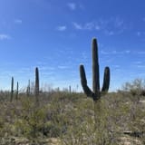 Gilbert Ray Campground Trail, Arizona - 162 Reviews, Map | AllTrails