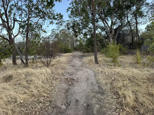 Best Hikes and Trails in Swan View | AllTrails