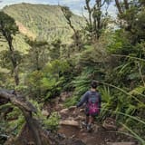 Te Aroha Summit Track, Waikato, New Zealand - 320 Reviews, Map | AllTrails