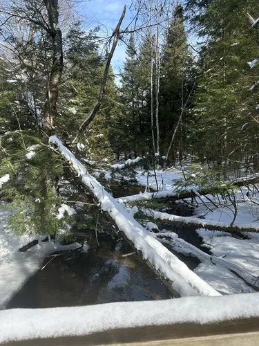 Best Hikes and Trails in Allan and Virginia McCune Nature Preserve ...