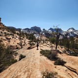 Many Pools Trail, Utah - 1,345 Reviews, Map | AllTrails
