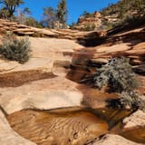 Many Pools Trail, Utah - 1,345 Reviews, Map | AllTrails